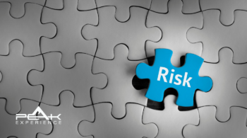 Embracing Risk: How to Take Calculated Risks for Business Growth - Dreamchaser Leadership